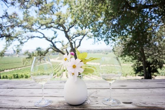 Scribe Winery in Sonoma - Whimsy Soul