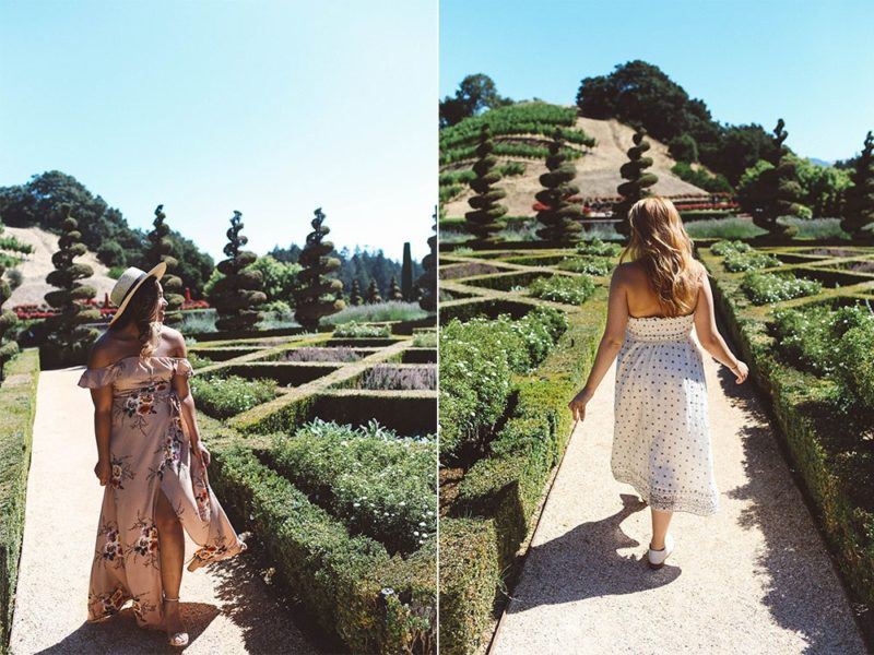 This Magical Hedge Maze Is A Winery In Napa Valley - Whimsy Soul