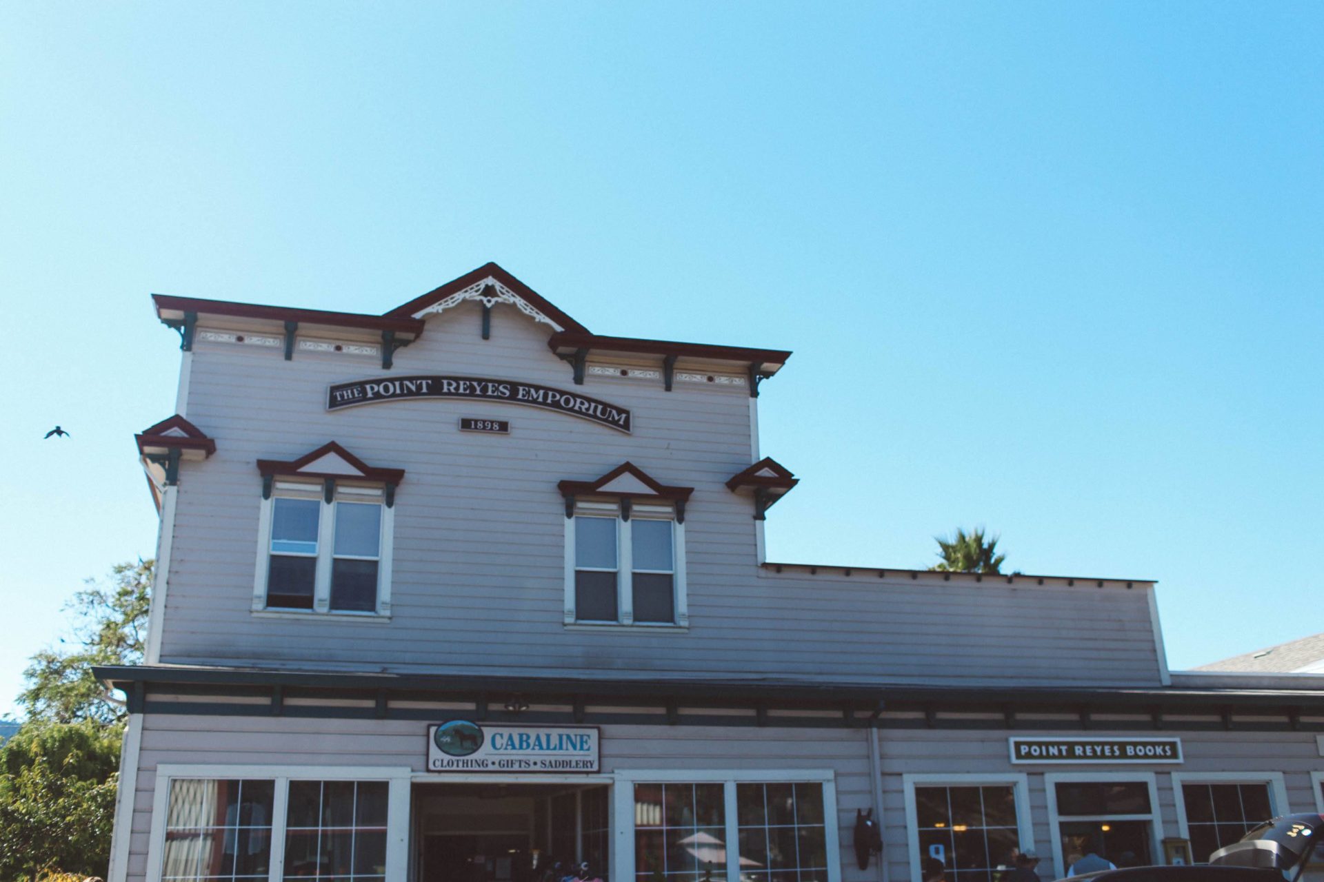 15 Things To Do In Point Reyes - Whimsy Soul