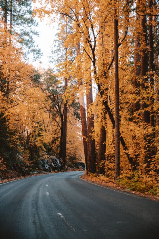 Guide To Yosemite In The Fall & Early Winter: Top Hikes, Fall Colors ...