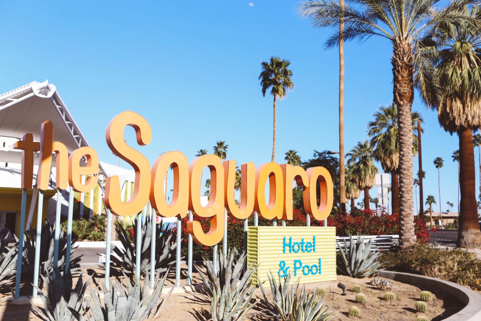 Alt Summit - Is It Worth It, What to Pack & Everything You need to Know!