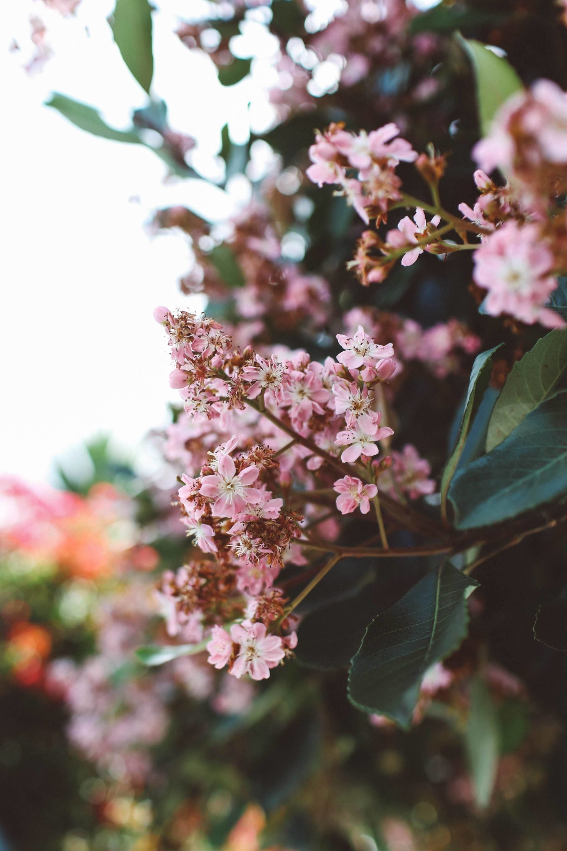 10 Cute Pins To Add Flair To Outfits