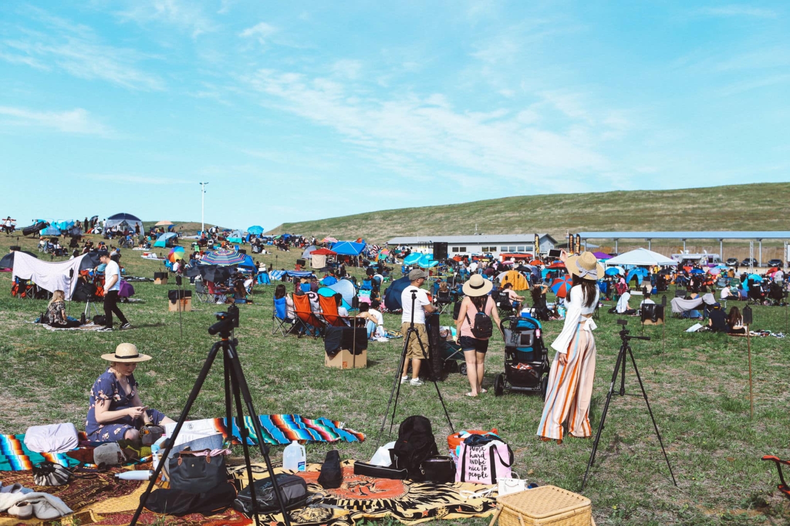 9 Things To Know About The Lights Fest Before You Go