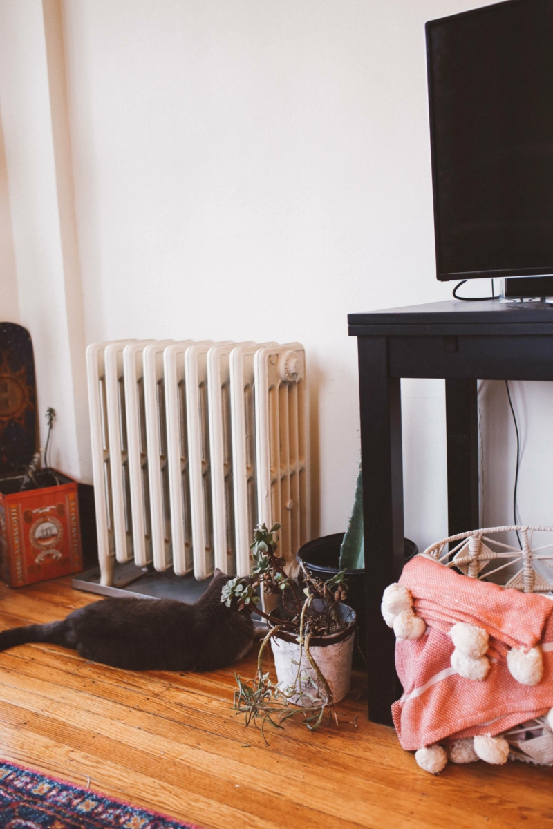 Opalhouse By Target, Home Decor That I'm Obsessed With