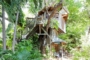 10 Cool Treehouse Airbnb's You'll Want To Sleep In