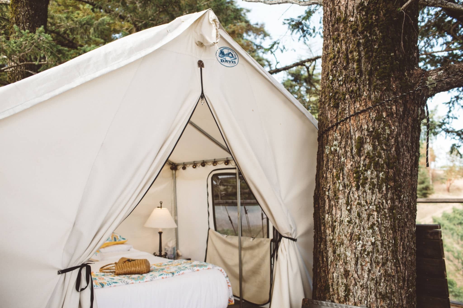Rent a Treehouse in California: Magical Treehouse Airbnb In the Santa ...