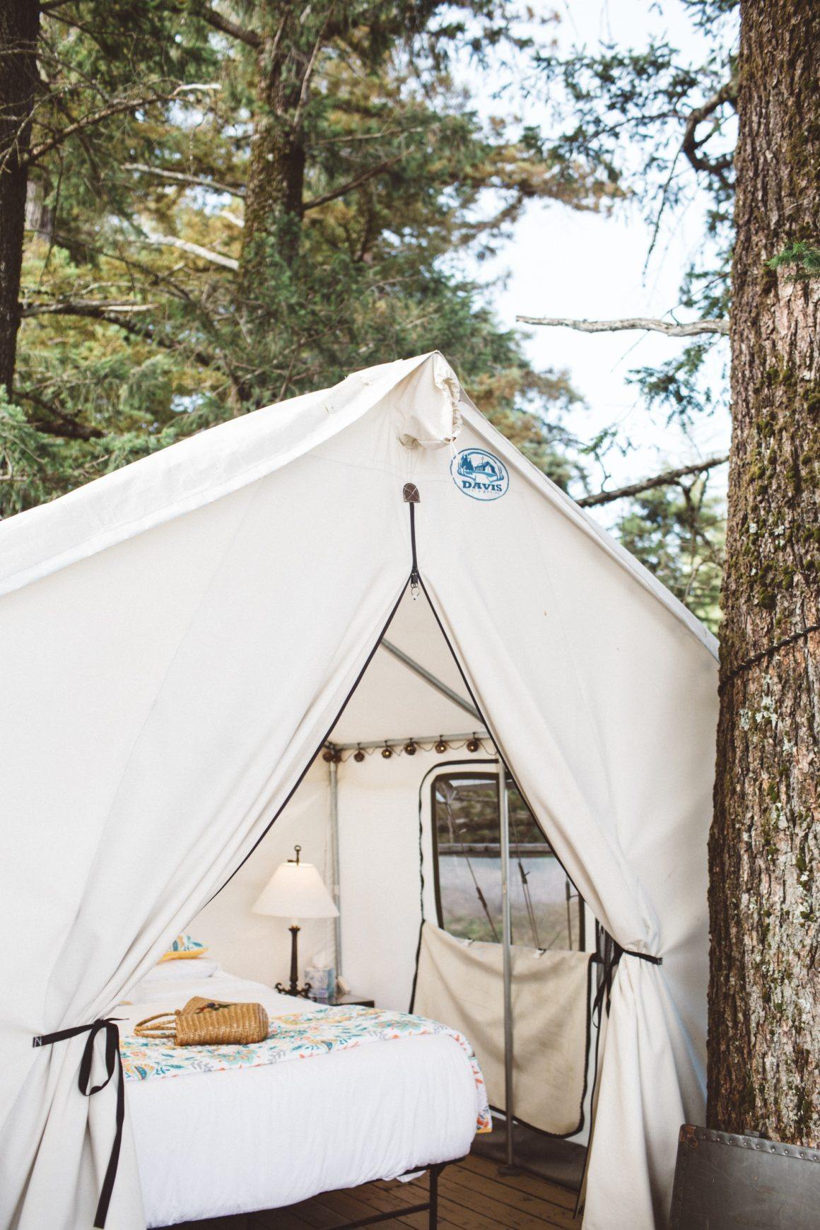 10 Cool Treehouse Airbnb's You'll Want To Sleep In