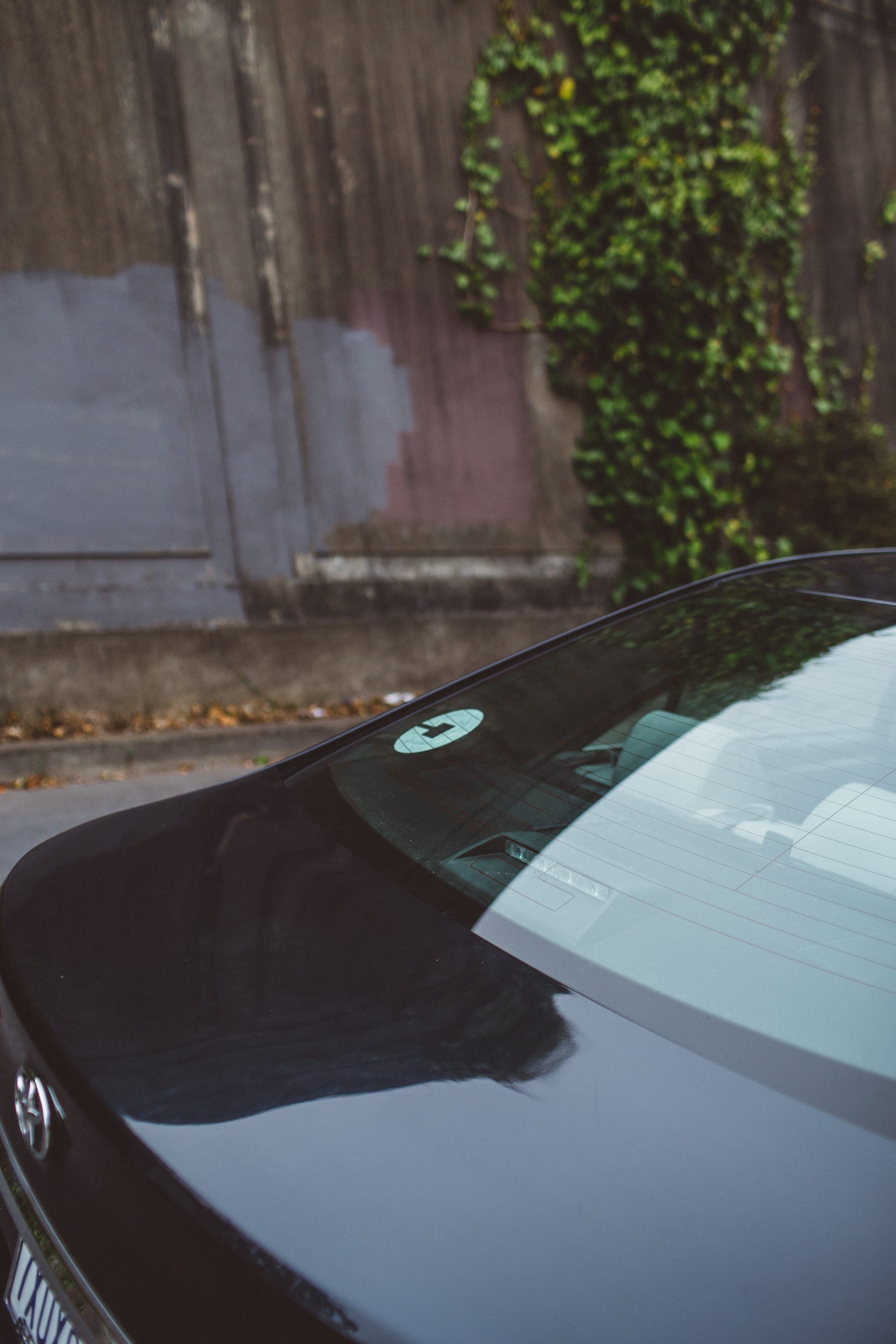 Why Uber Express POOL Makes The Bachelorette Viewing Parties So Much ...