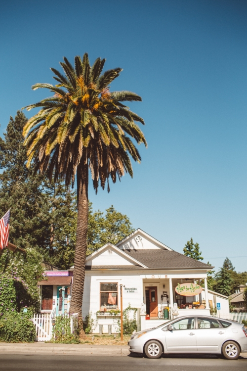12 Charming Things To Do In Calistoga (+ Huge Area Guide)