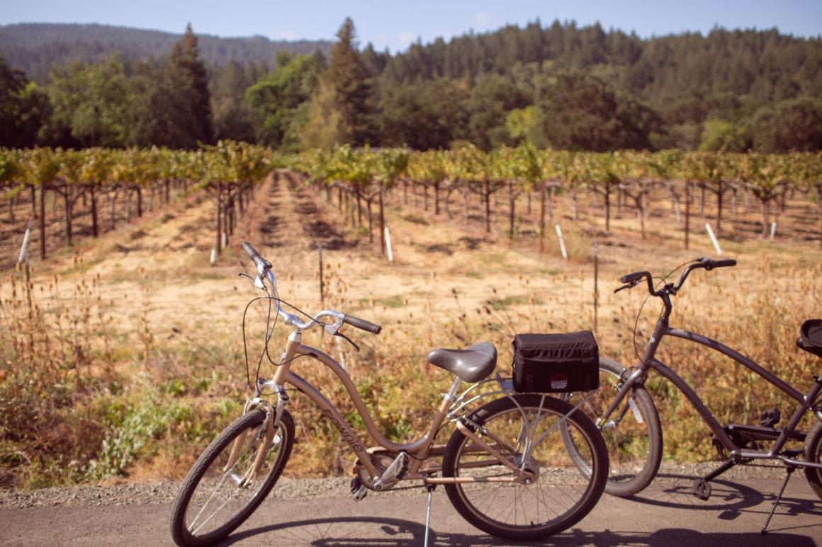 West Coast Road Trip Itinerary: Hidden Gems Many Overlook & Tips For ...