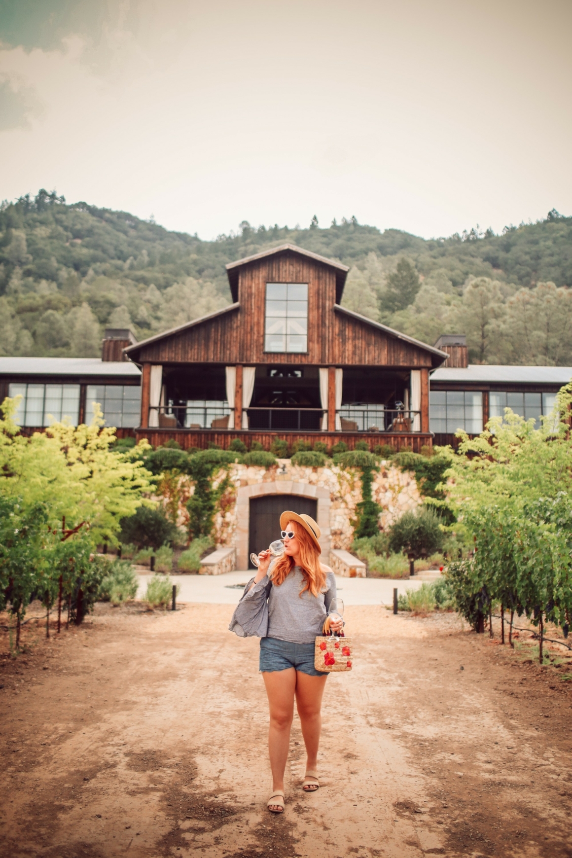 20 Most Beautiful Wineries in Napa Valley: Scenic Views, Castles ...