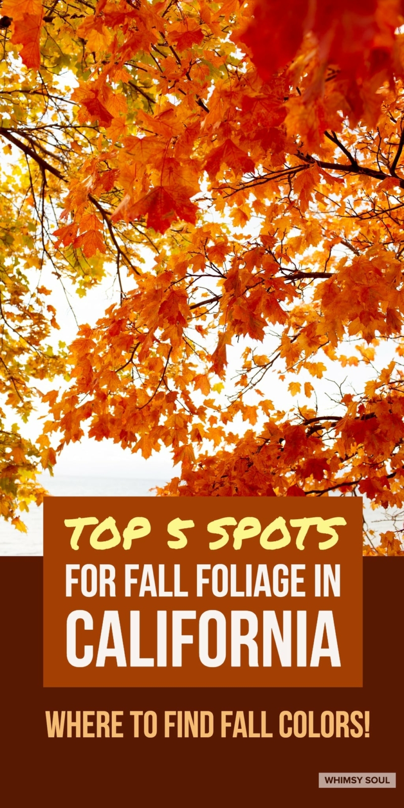 Here's Where To Find The Best Eastern Sierra Fall Colors