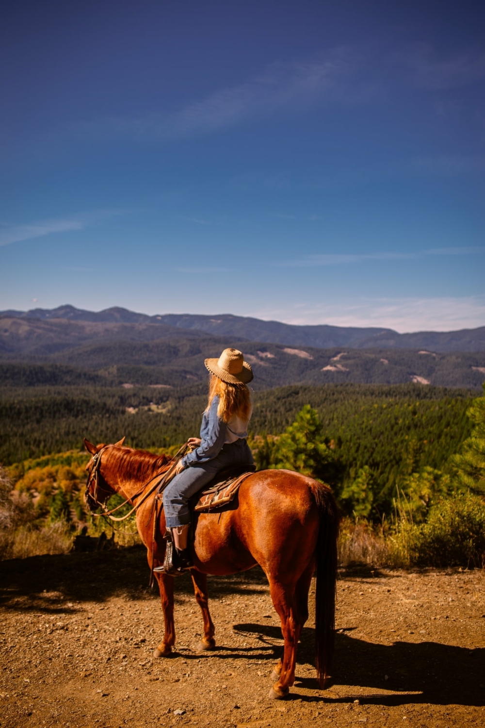 You'll Fall In Love With This Dude Ranch in California