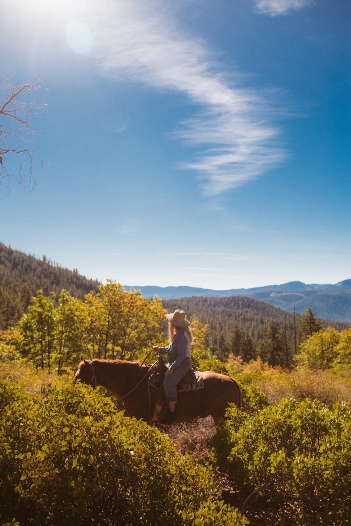 You'll Fall In Love With This Dude Ranch in California