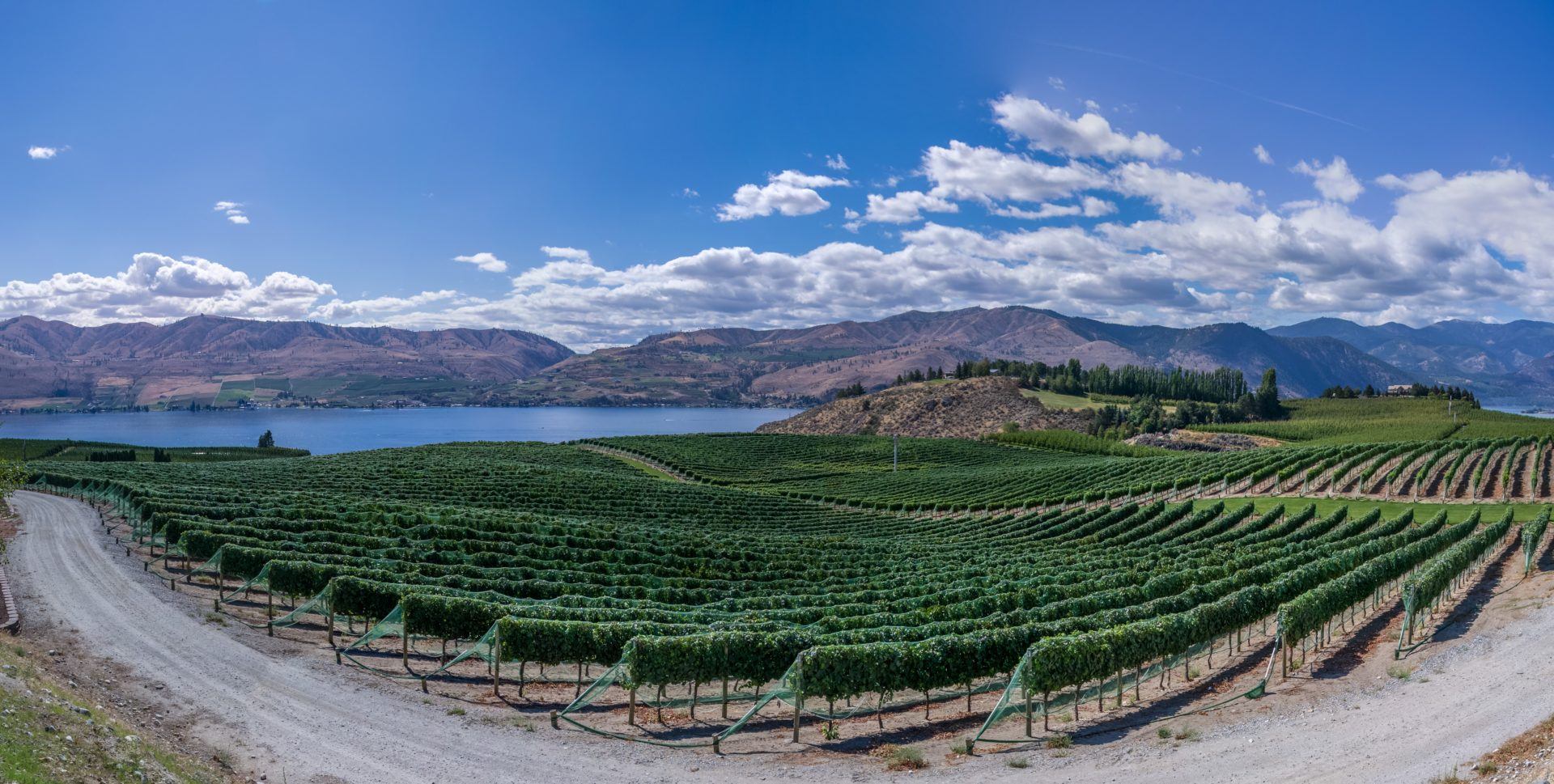 TOP LAKE CHELAN ACTIVITES: What To Do, Where To Eat, Where To Stay & More!