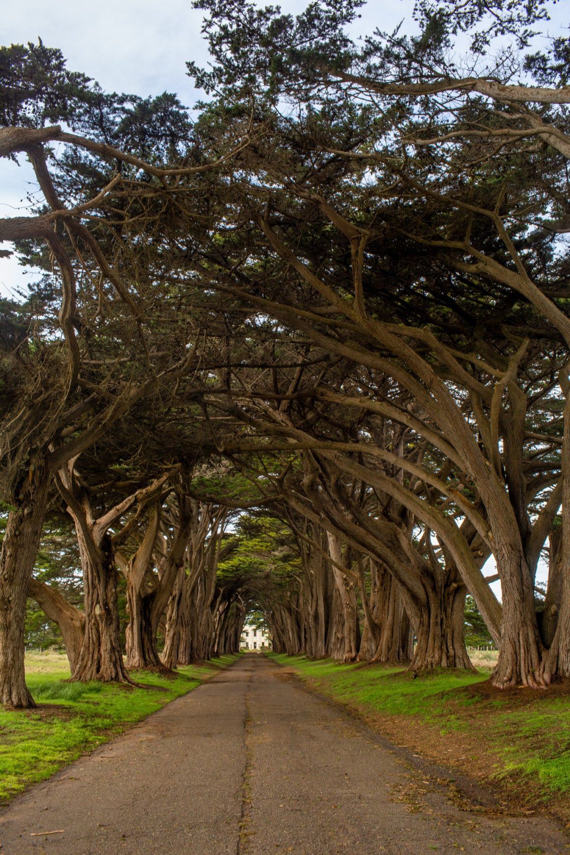 Olema House: A Hidden Retreat In Point Reyes To Unwind & Relax