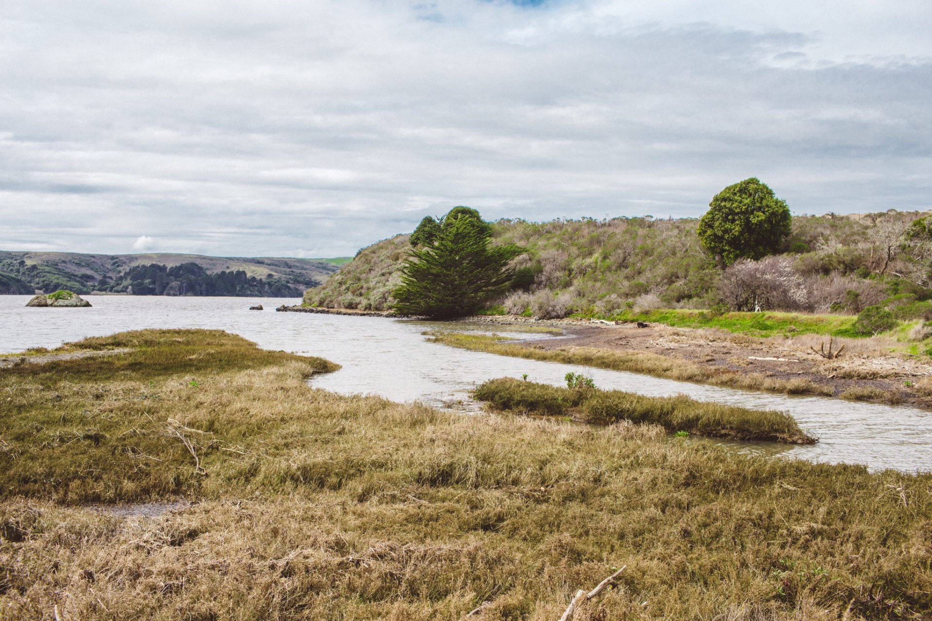 Your Ultimate Guide To Visiting Hog Island Oyster Farm in Marshall