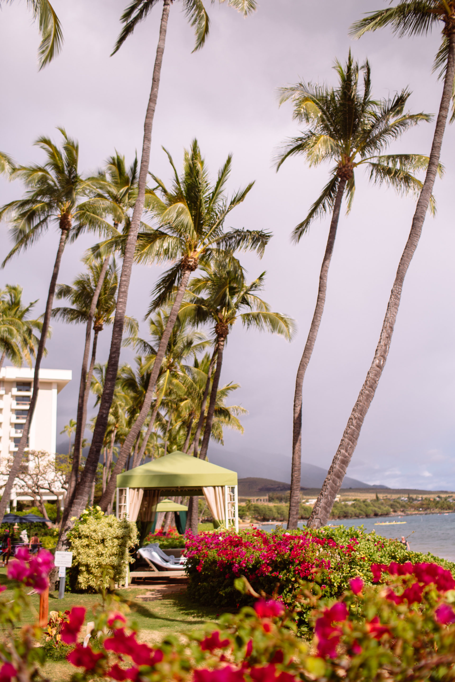 Hyatt Maui: An Honest Review + Photos of This Beach Hotel!