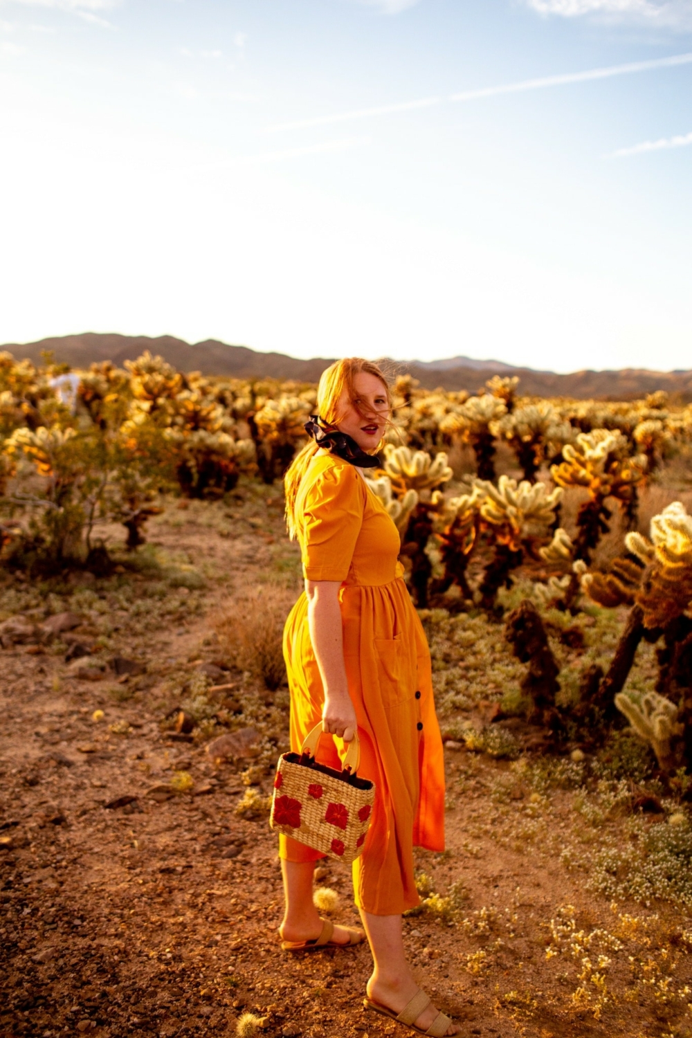 Shein Review 2022 (Why This Company Is A Scam!)