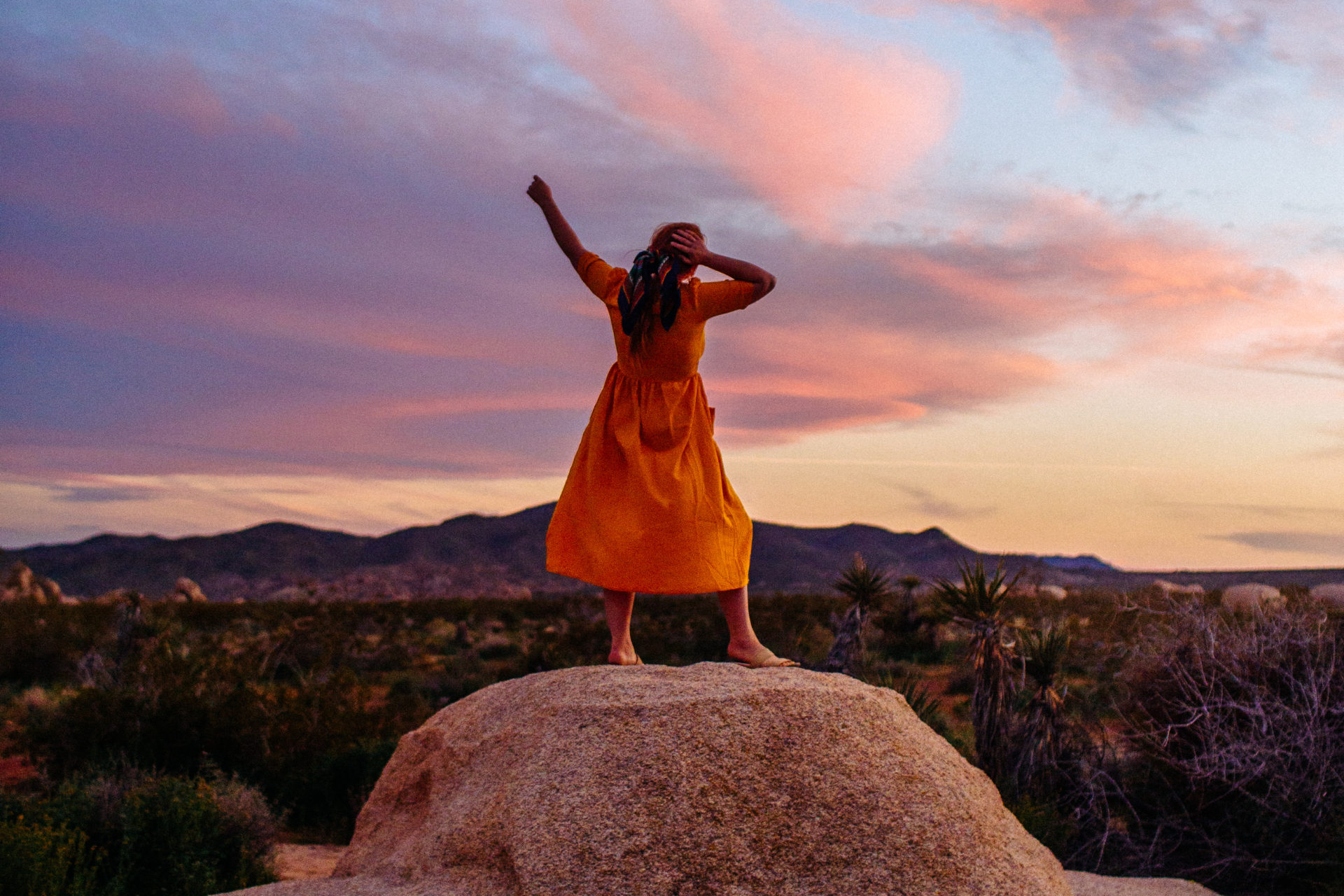 Day Trip to Joshua Tree: 7 Best Quick Stops & Easy Hikes For One Day In ...
