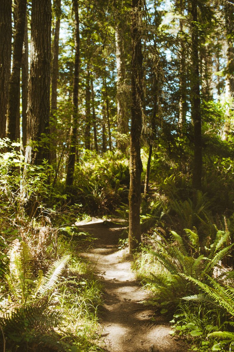 How To Find The Natural Bridges At Samuel H Boardman ( Exact Steps!)