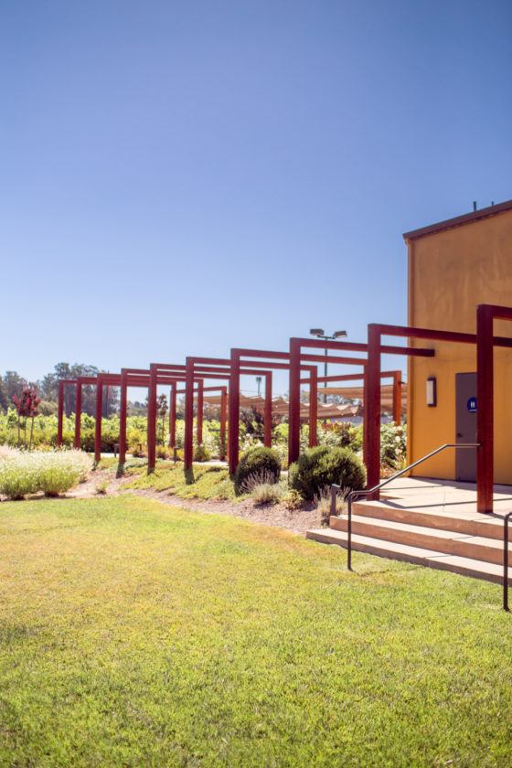 Inside Patz and Hall Winery in Sonoma: Photos and Tasting Review