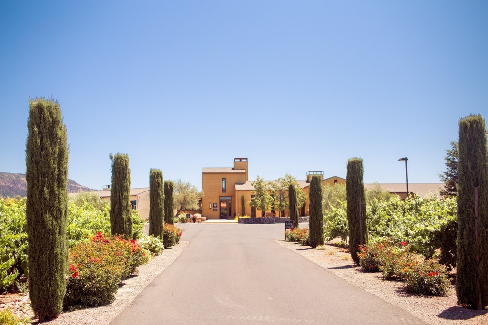 Inside Patz and Hall Winery in Sonoma: Photos and Tasting Review