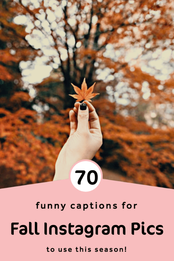 70 Fall Instagram Captions SO GENIUS You'll Want To Use Them All