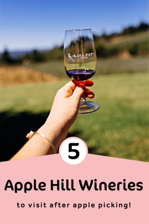 5 Amazing Apple Hill Wineries For Views, Wine & Vibes