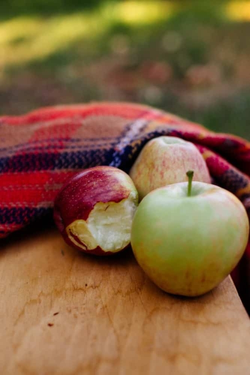 12 Cute Apple Picking Outfits You Can Shop Online This Fall 2021