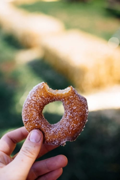 Apple Hill California: The Ultimate Fall Travel Guide