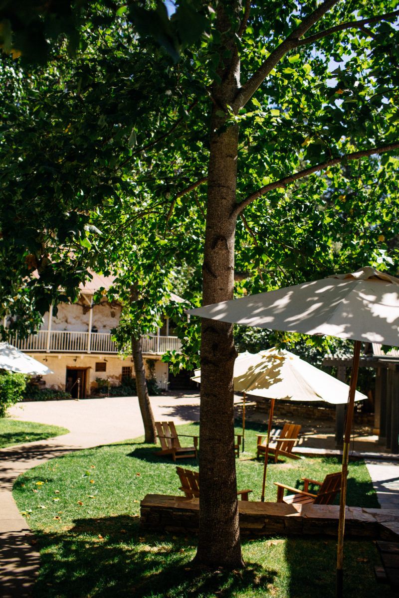 Apple Hill California: The Ultimate Fall Travel Guide