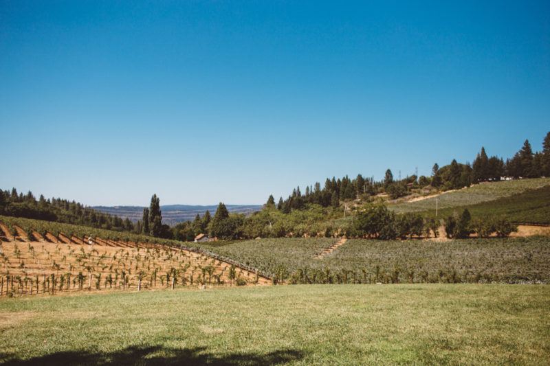 5 Amazing Apple Hill Wineries For Views, Wine & Vibes