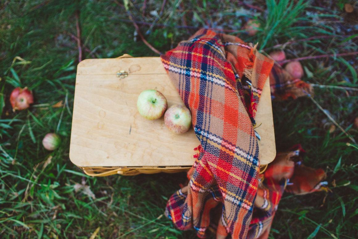 12 Cute Apple Picking Outfits You Can Shop Online This Fall 2024