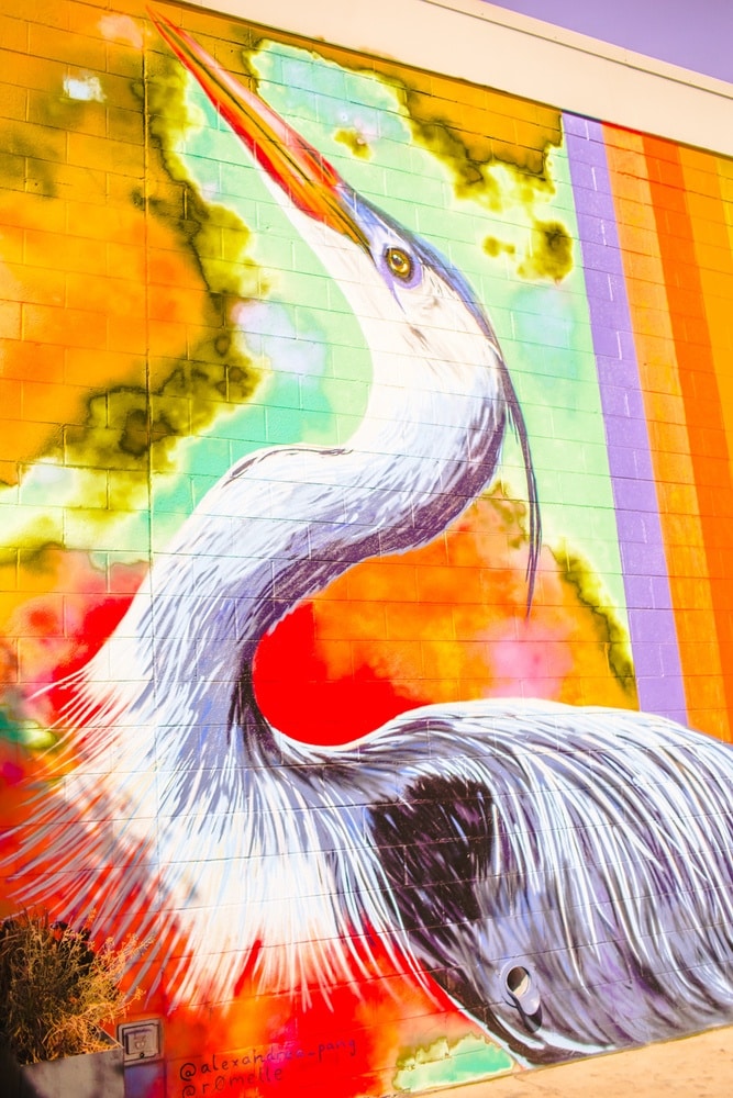 12 Denver Murals That Scream "PUT ME ON INSTAGRAM" (+ Addresses)