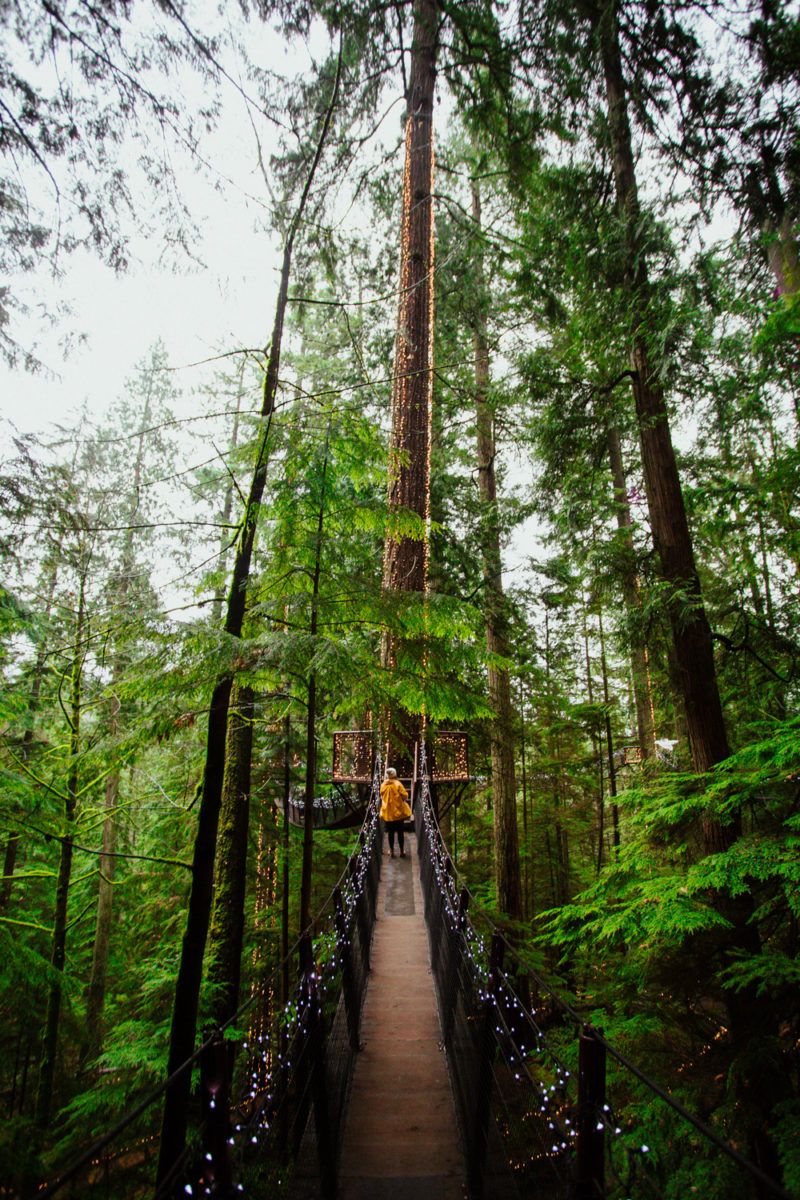Capilano Suspension Bridge Christmas: Best Time To Visit, What To ...