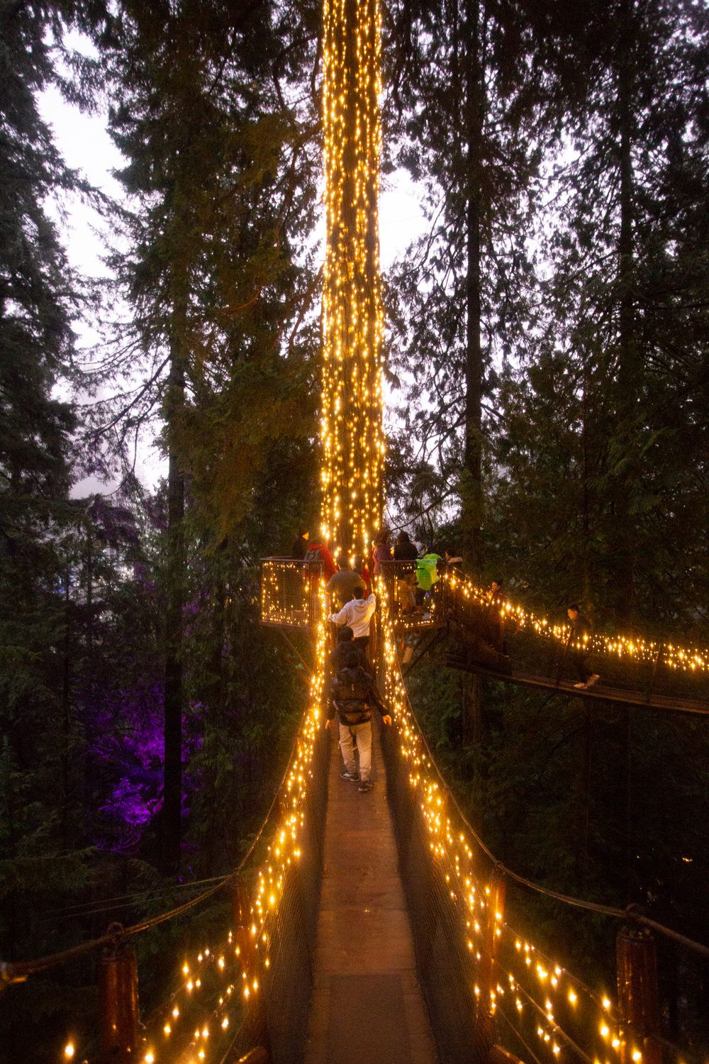 Capilano Suspension Bridge Christmas: Best Time To Visit, What To ... Capilano Suspension Bridge Christmas: Best Time To Visit, What To ...