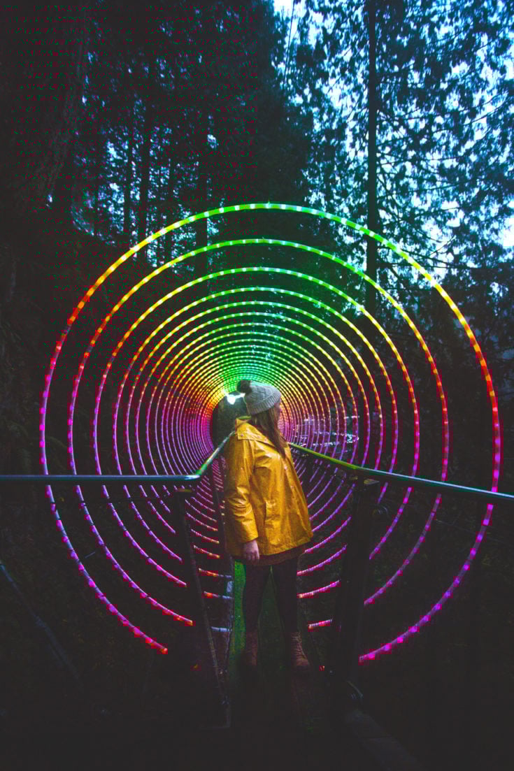 Capilano Suspension Bridge Christmas: Best Time To Visit, What To ...