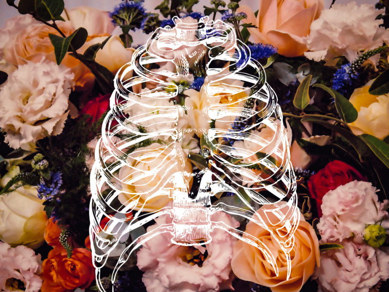 The Blush Bralette I Can't Stop Wearing - Whimsy Soul