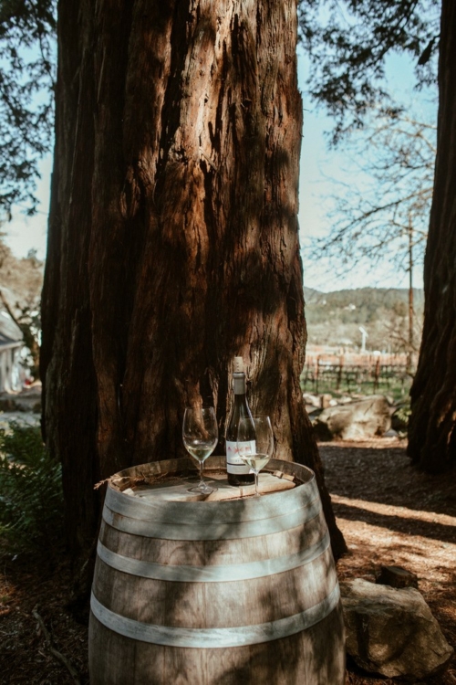 My Favorite St. Helena Wineries (A Locals Secret + Area Travel Guide!)