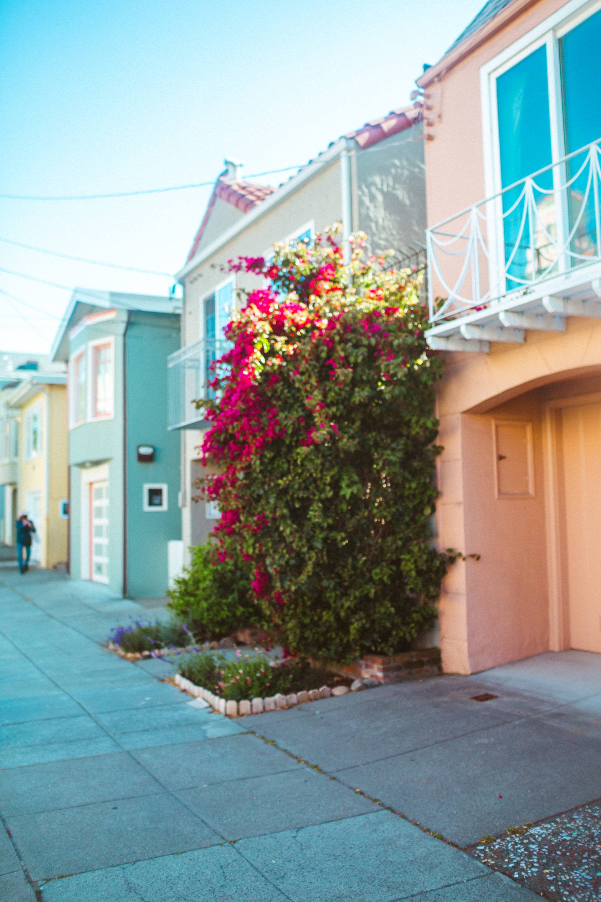 Inner Sunset: A Local's Neighborhood Guide (Best Restaurants, Bars ...