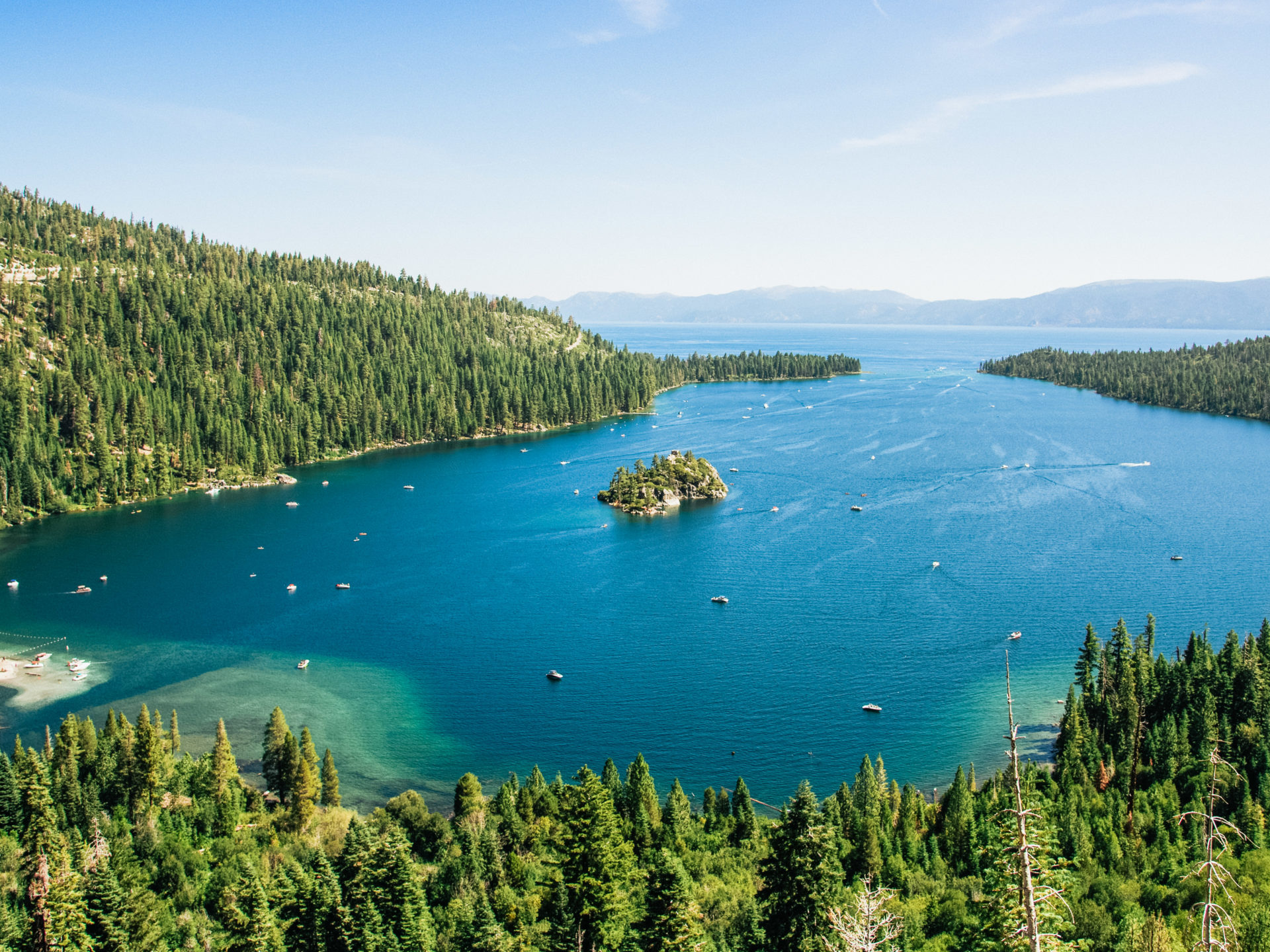 Strawberry Picking in the Bay Area: This Oceanfront Farm Is a Hidden ...