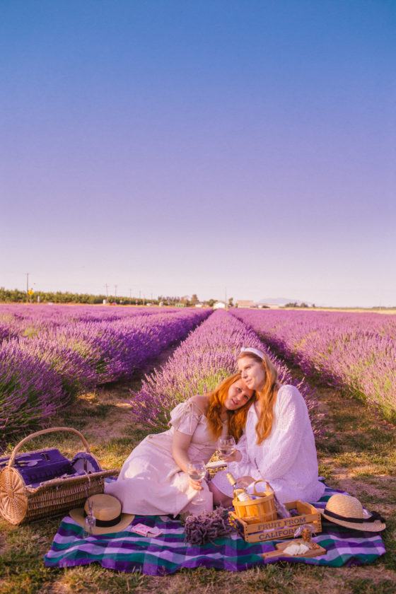 California's Dreamy Lavender Fields: The Ultimate Guide to Summer Blooms