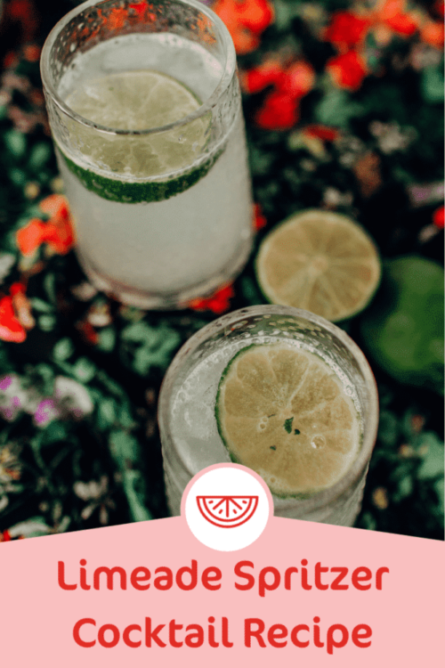 Summer Solstice Limeade Spritzer - Whimsy Soul