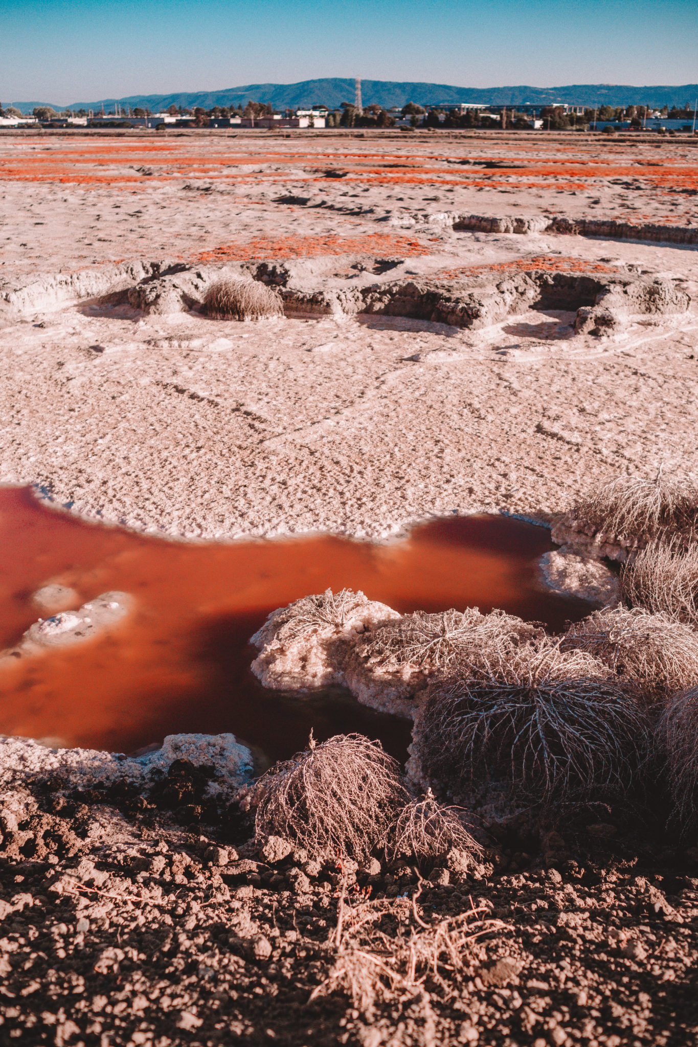 Where To Find Colorful San Francisco Bay Salt Ponds