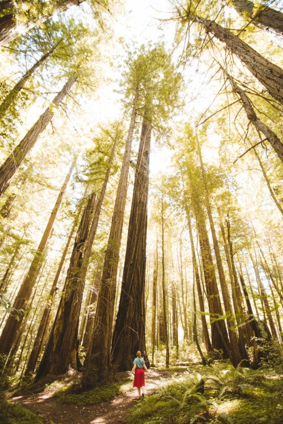 The Nature Hashtags That Will Get You On The Explore Page (2020)