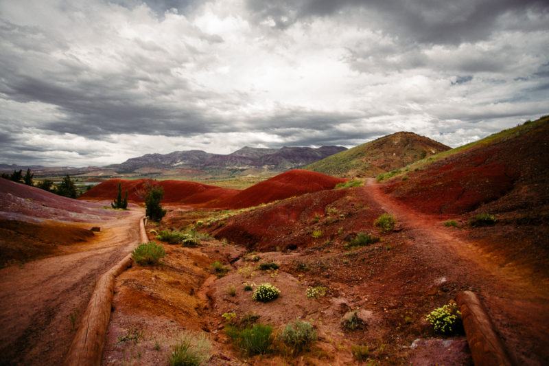 The Nature Hashtags That Will Get You On The Explore Page (2020)