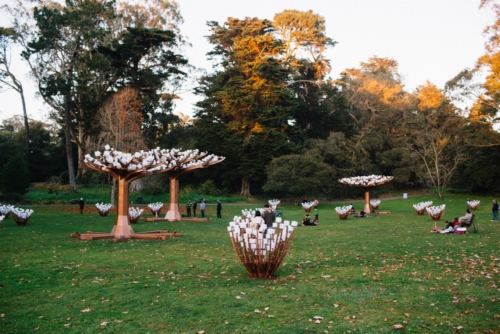 OMG You Have To Visit Entwined At Golden Gate Park!