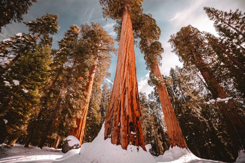 How To Visit Kings And Sequoia National Park In The Winter Travel Guide
