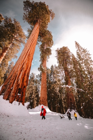 Moving to California? Top 15 Pros & Cons Of Living In California